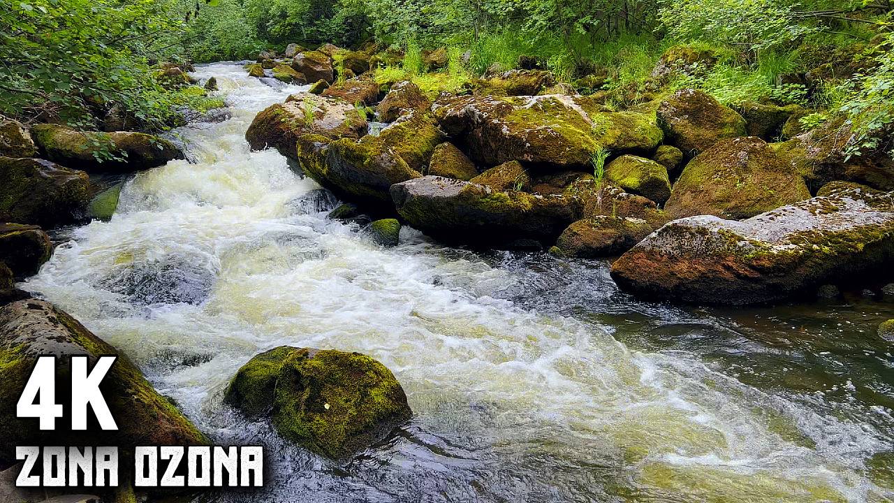 Грохот холодной бурной реки среди валунов