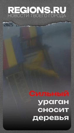 Сильный ураган сносит деревья