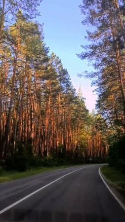 прекрасное в мелочах