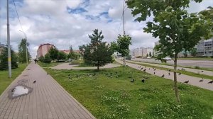 Сквер Каберова/Влог за четыре дня/Жизнь на пенсии/Дневник Натальи