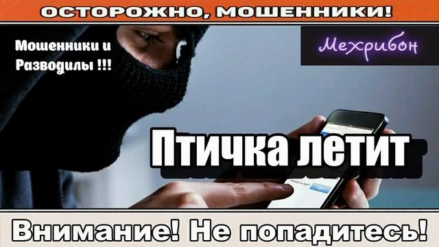 Мошенники звонят по телефону / Тебя накажут ( сборник ).