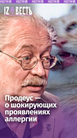 Аллергия на латекс и мужа — профессор Продеус о женских «раздражителях» в подкасте «Известь» с Елено