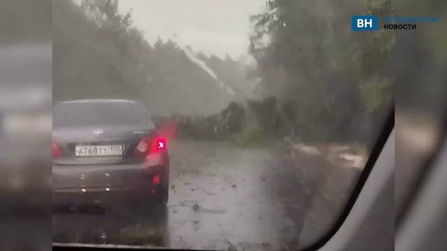 Поваленные деревья, отключенное электричество и попавшая в дом молния последствия урагана
