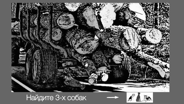 Тест на воображение и умение замечать малозаметное. Найдите 3-х собак