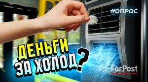 Жаримся или платим: что выбирают пассажиры Севастополя?  - опрос ForPost
