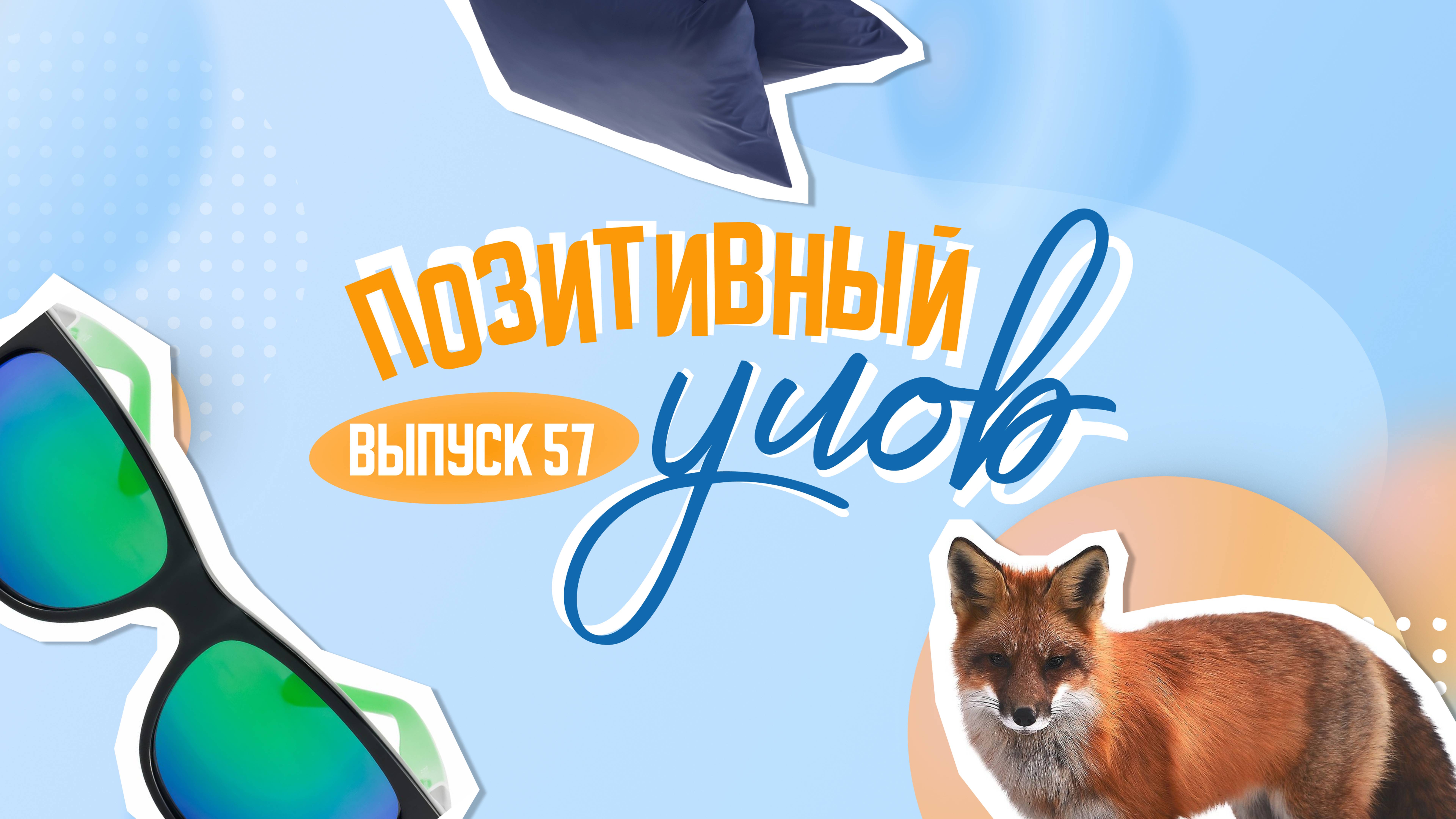 Пробка из овец и автоматы с едой. "Позитивный улов"