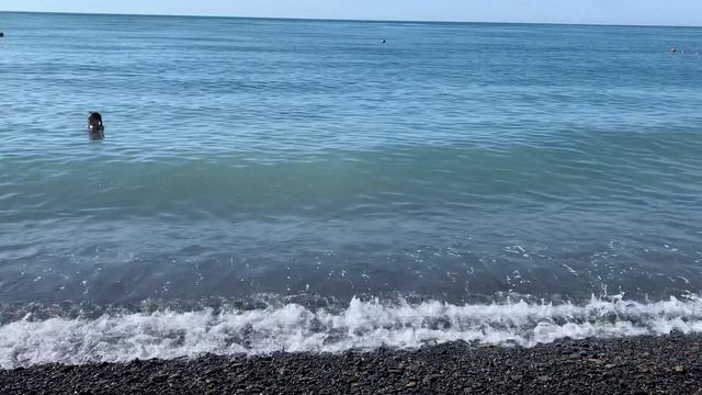 09.07.2025 Большой Утриш море
