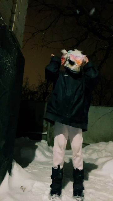 Видео с зимы