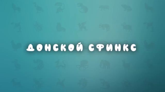 "Породы кошек" - видео для детей.