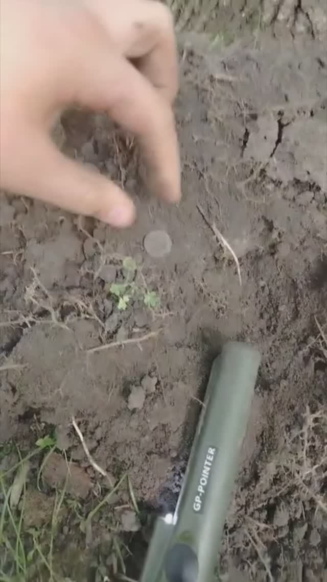 Копаю в лесу, первая монета!