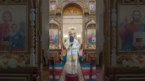 Слово епископа Кирилла в Ильинском храме села Синьково Дмитровского района 6 июля 2025 года