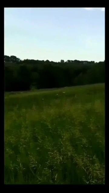 🏍🧍♂️🐕🏃♀️
