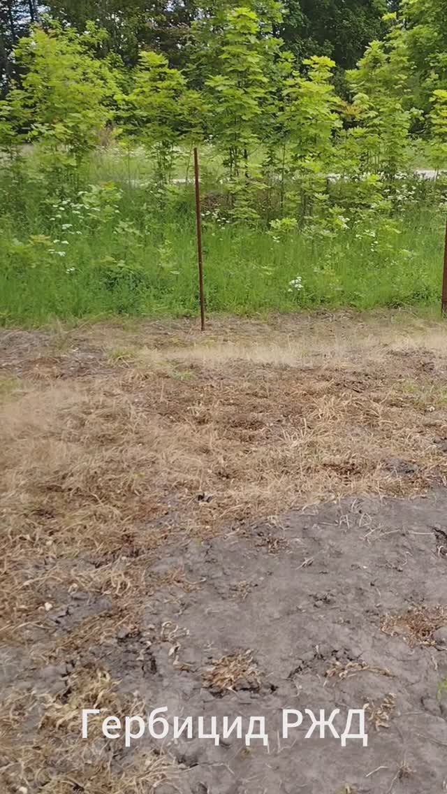 Гербицид результат!