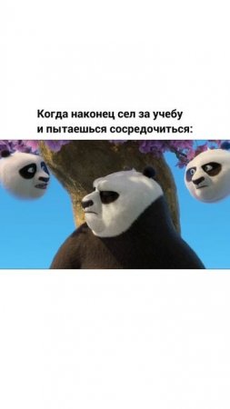 А говорят, к внутреннему голосу нужно прислушиваться