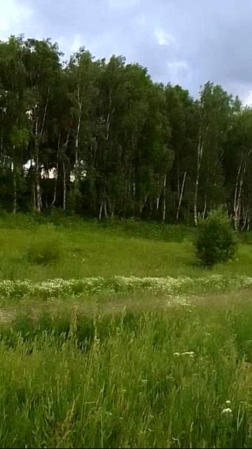 🥰 Вечерняя прогулка! 🤪
