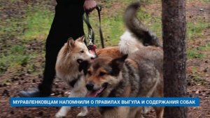 МУРАВЛЕНКОВЦАМ НАПОМНИЛИ О ПРАВИЛАХ ВЫГУЛА И СОДЕРЖАНИЯ СОБАК