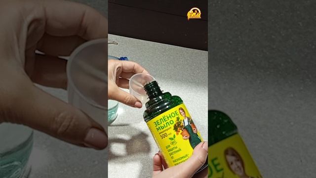 Зелёное мыло