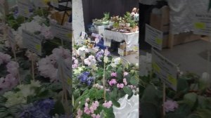 уфа цветы комнатные растения 9 июля 2025 большая выставка продажа цветов в торговом центре башкири