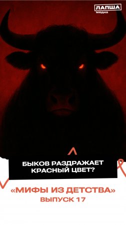 БЫКОВ ТОЧНО РАЗДРАЖАЕТ КРАСНЫЙ ЦВЕТ?
