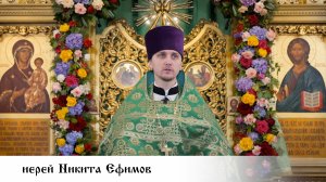 иерей Никита Ефимов, проповедь в день памяти благоверных князей Петра и Февронии, Муромских чудотв