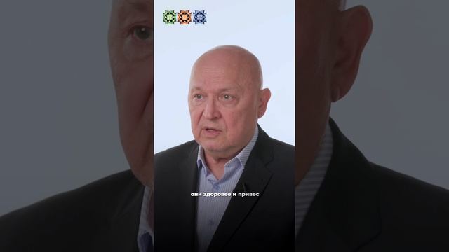 «Симбионты хвостикам»: протягиваем лапу помощи четвероногим друзьям ❤️🐾 #благотворительность #short