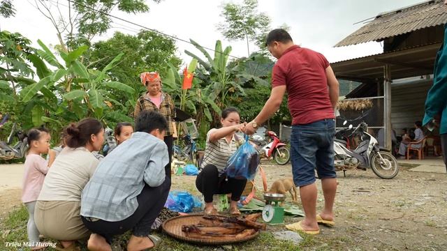 "Harvesting Snails and Smoked Pork to Sell at the Market | Trieu mai Huong".