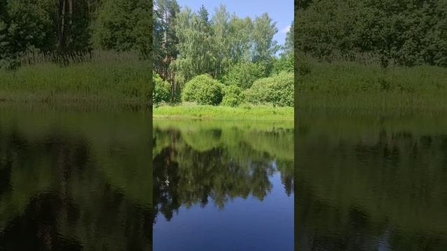 Красивая природа с музыкой