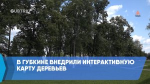 В Губкине внедрили интерактивную карту деревьев