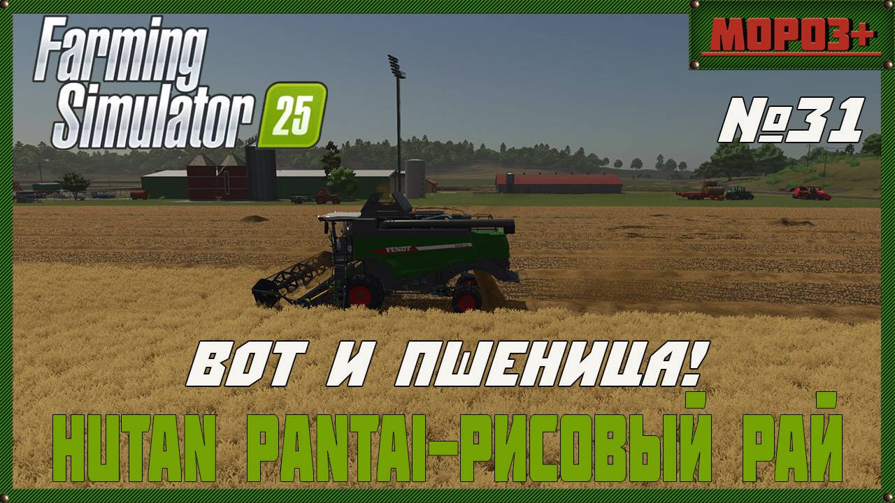 🟢Farming Simulator 25🟢. Карта  Hutan Pantai-Рисовый рай,  №31 А вот и пшеница!