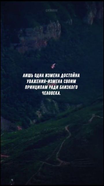 #894 Цитата дня. Мотивация.