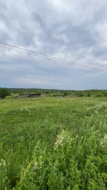 Продаётся участок 7 Га под сельхоз.производство вблизи д. Нововоскресенское, Каринское с/п
