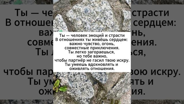 🖋 Тест "Какой ты в отношениях?"