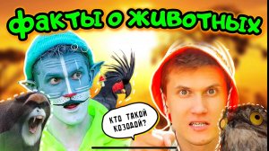 КОТ УЧЁНЫЙ | УДИВИТЕЛЬНЫЕ ФАКТЫ О ЖИВОТНЫХ
