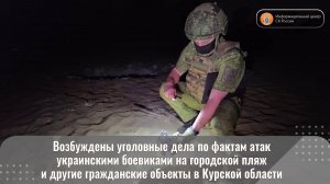 Возбуждены уголовные дела по фактам атак украинскими боевиками на городской пляж в Курской области