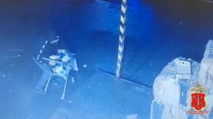 Житель Ленобласти уличён полицией в серии краж из супермаркетов и завладении велосипедом и бусами