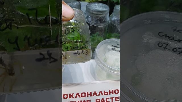 город уфа новости спорт природа музыка 2025