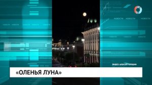 «Оленья луна»