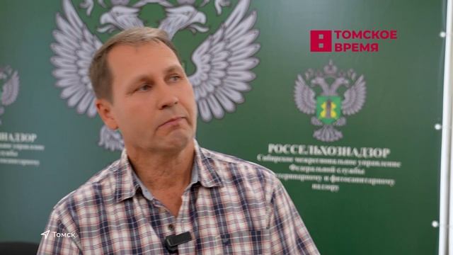 Томичи обеспокоены зеленой изгородью из борщевика