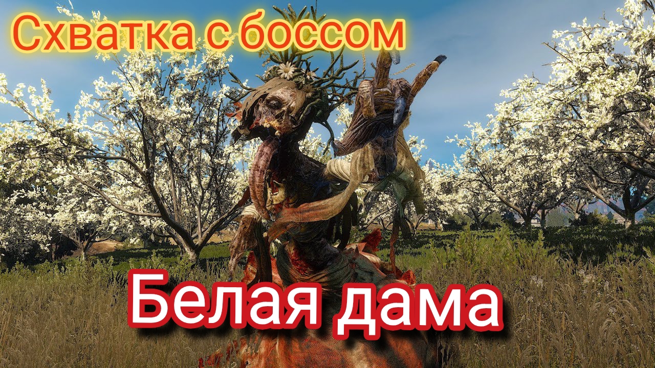 Ведьмак 3: Дикая охота /Босс - Сложность "боль и страдания" #игры #ведьмак3 #открытыймир