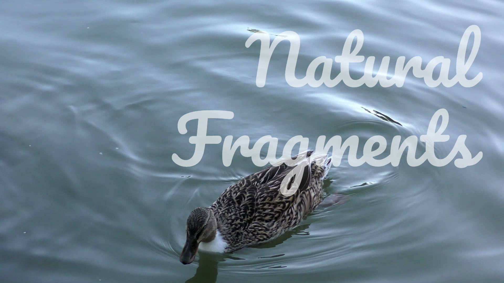 Natural fragments
