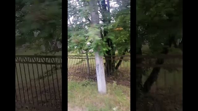 ЛЕНИНГРАДСКАЯ ОБЛАСТЬ - ВСЕВЫШНИЙ ИГРОК _ РЕМИКС 2_100725 - N S0F ... 8 -