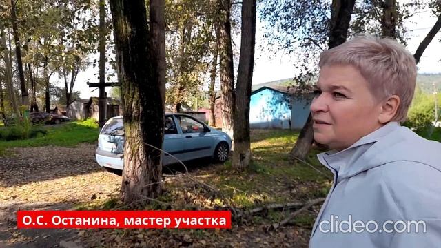 Осмотры август 2024 г