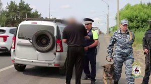 В Нижегородской области подведены итоги второго этапа операции «Анаконда»