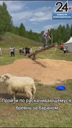 Сабантуй-2025 в Березовой роще Зеленодольска