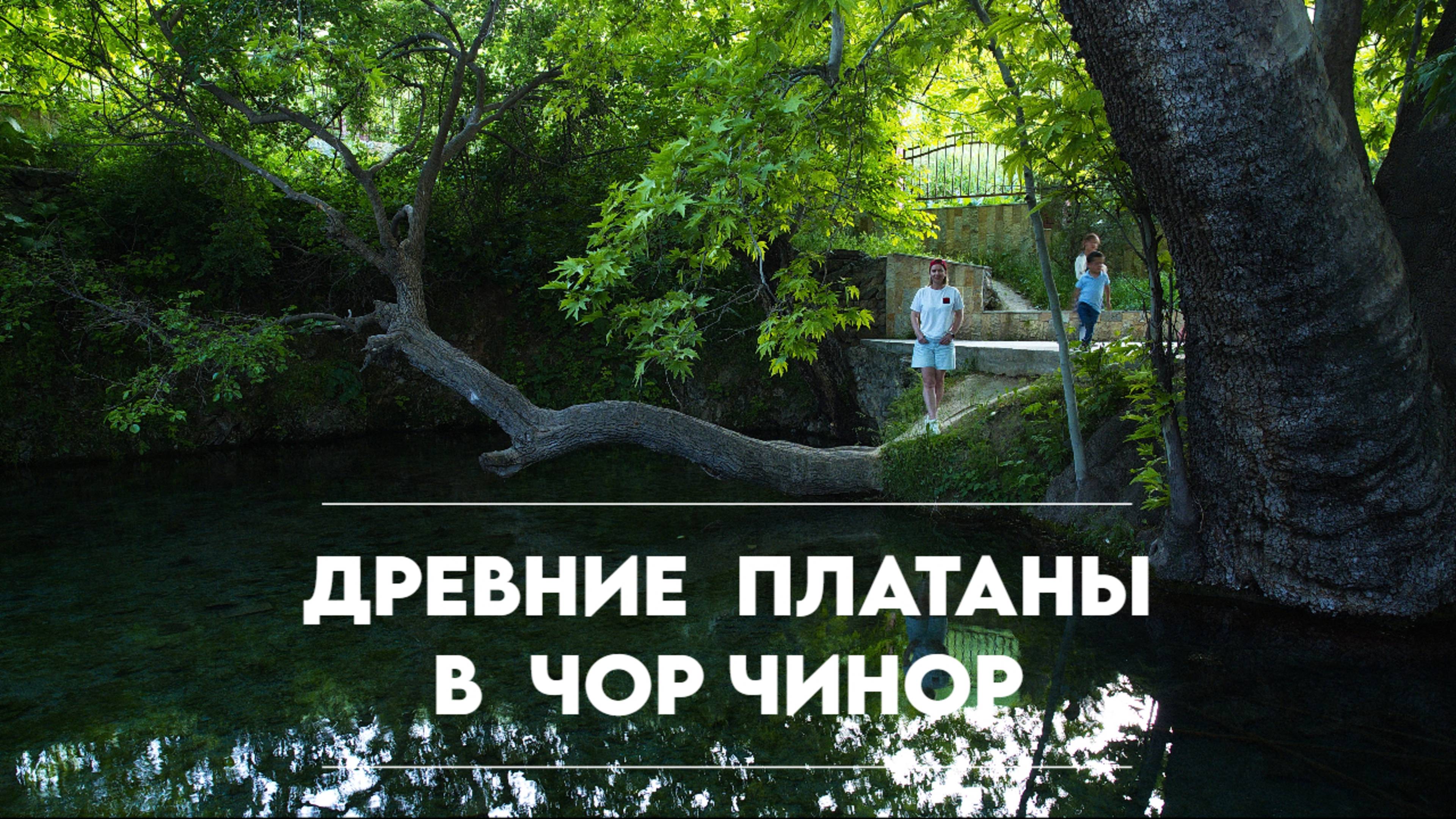 Чор Чинор: парк платанов возрастом 600-1100 лет