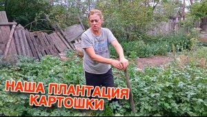 НАША ПЛАНТАЦИЯ КАРТОШКИ! Спасаем ПРИПЛОД ЧЕРЕПАХИ – НА Берегу Таганрогского Залива.