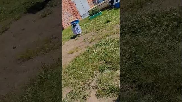 Подпишитесь