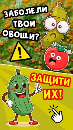 Чудо-огурцы 💪🥒 : как Бактоген спас урожай #огурцы #ar #ecommerce #сад #3danimation #лекарства
