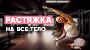 Растяжка на все тело/ упражнения на каждый день