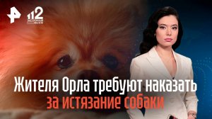Жителя Орла требуют наказать за истязание собаки